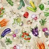 fresh & local farming farm harvest food fruits vegetables peppers ...